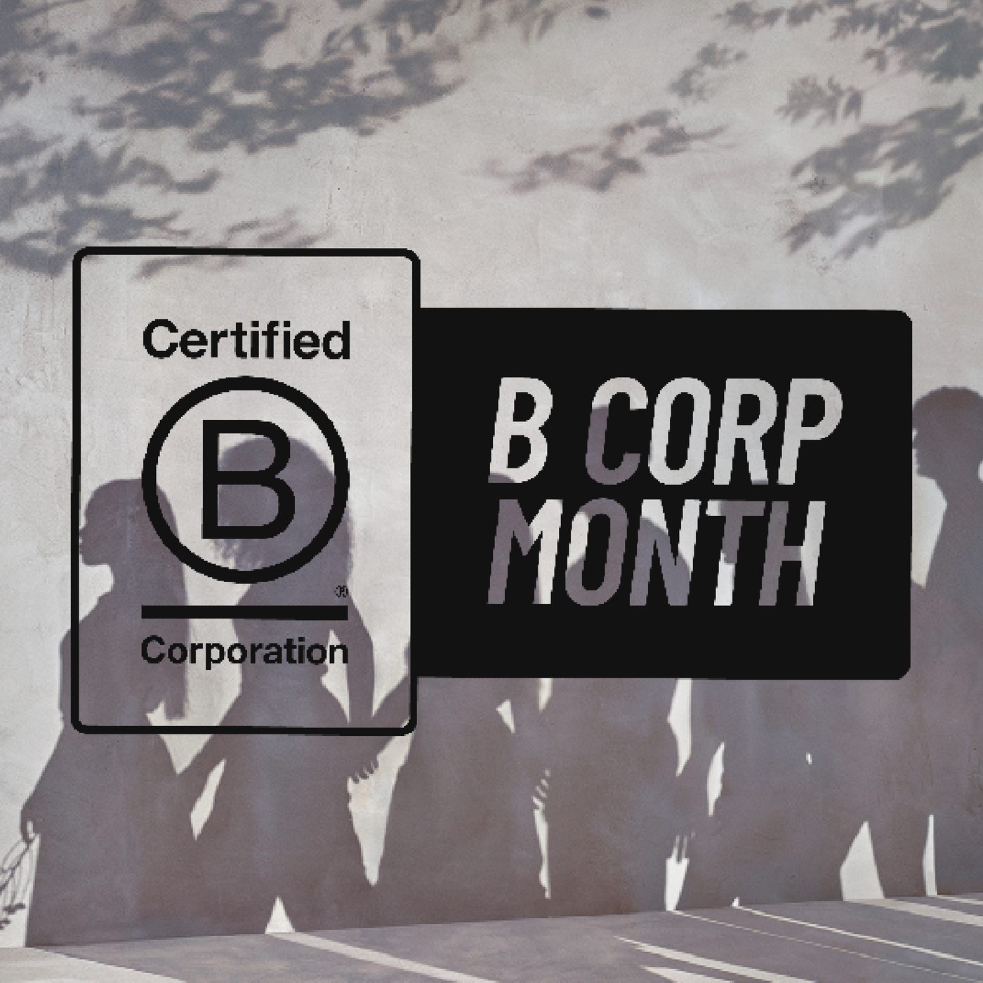 Comb vs. Brush: Unraveling the Tangle of Hair Care - Davines Canada